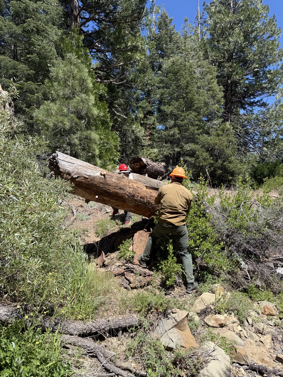 Los Padres Fire Restrictions & Trail Update – Los Padres Forest Association