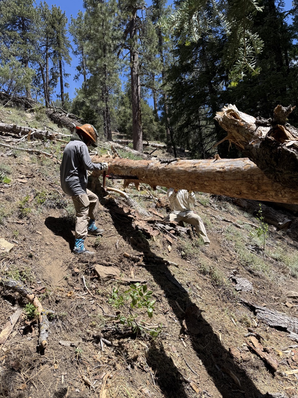 Los Padres Fire Restrictions & Trail Update – Los Padres Forest Association